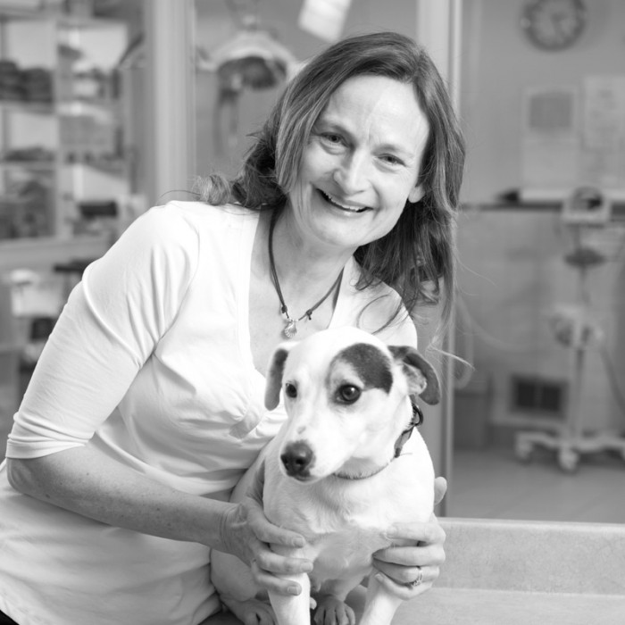 Our Team – Glengarry Animal Hospital